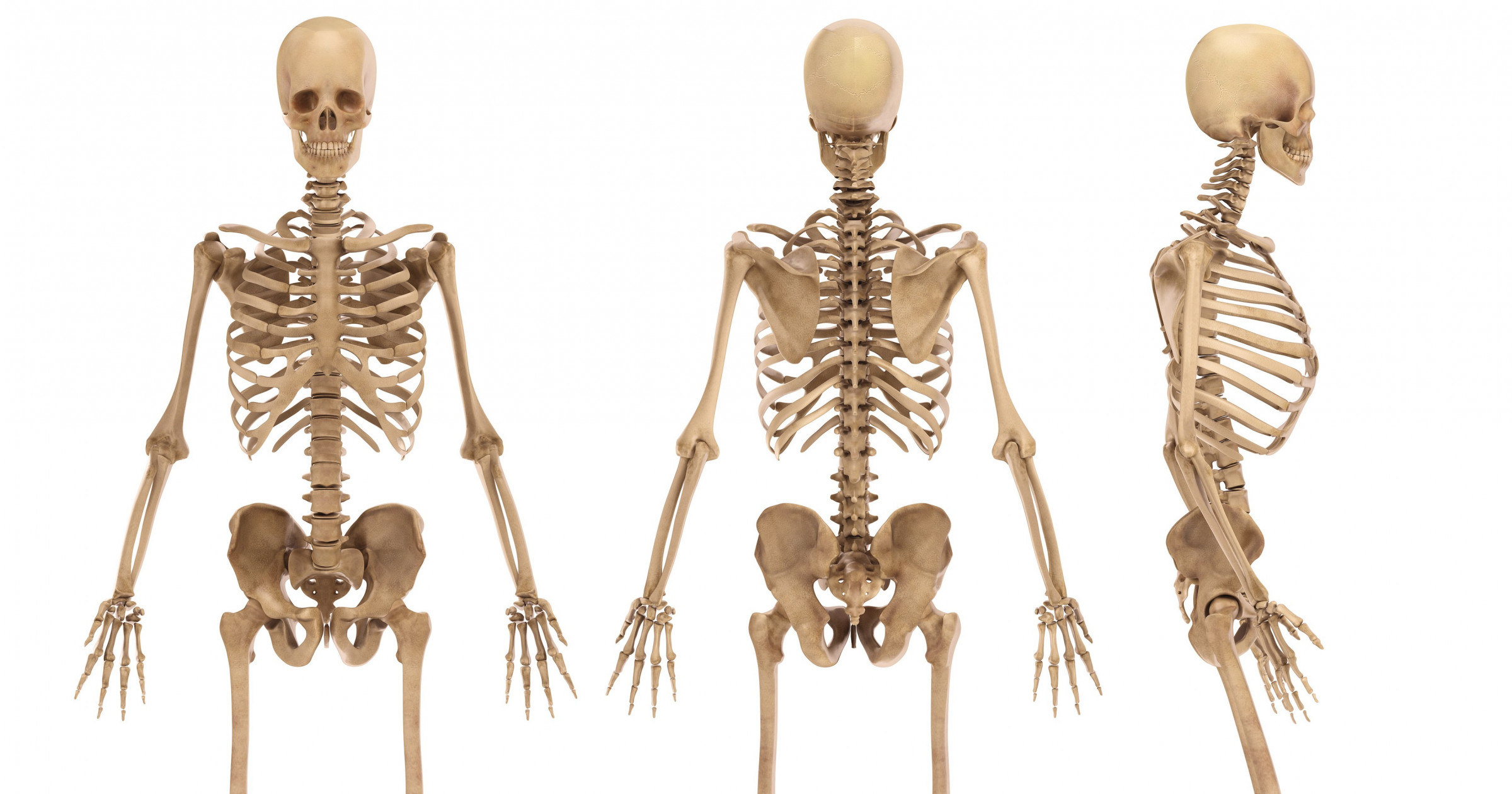 Bone Cancer Real Health