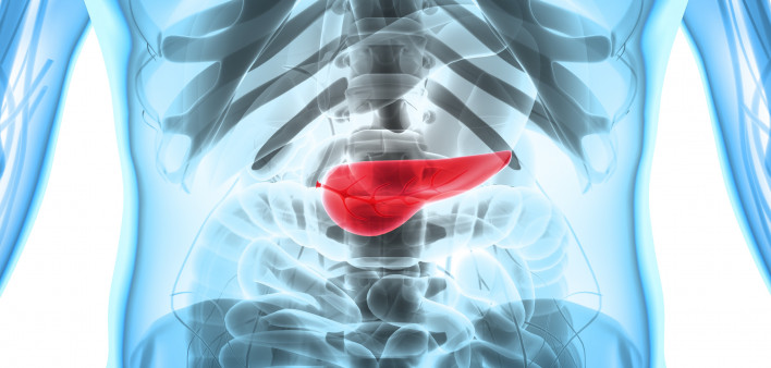 Muscle and Fat Loss May Offer Clues to Pancreatic Cancer - Cancer Health